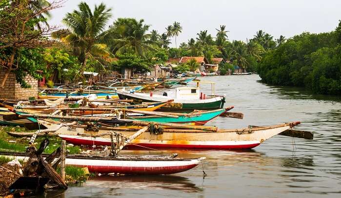 5 Best things to do in Negombo, Sri Lanka