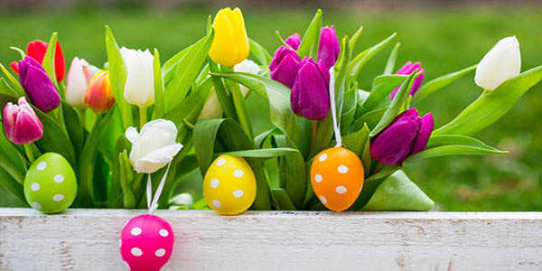 Easter Festival India - Significance and Celebrations - India-Tours