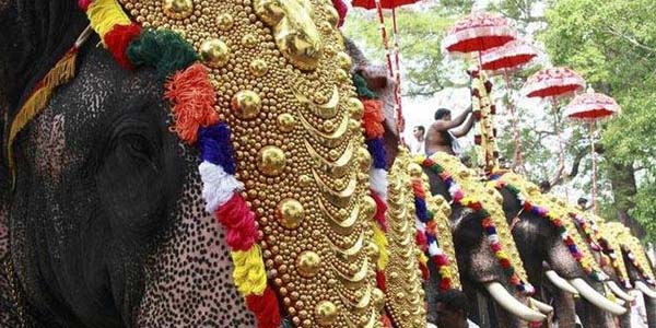 Thrissur Pooram Festival Kerala 2025, Cultural Significance - India-Tours