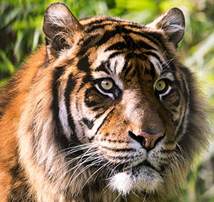 Things to do in Arunachal Pradesh, Places to visit in Arunachal Pradesh