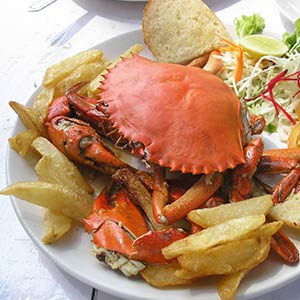 Best Things to do in Goa, Places to Visit in Goa, Tourist Attractions