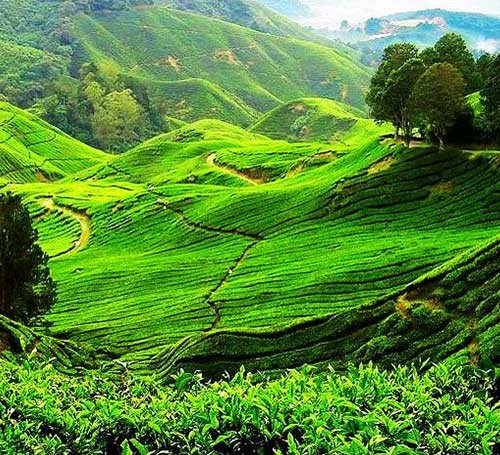 Things to do in Manipur, Tourist Attractions in Manipur – India-tours