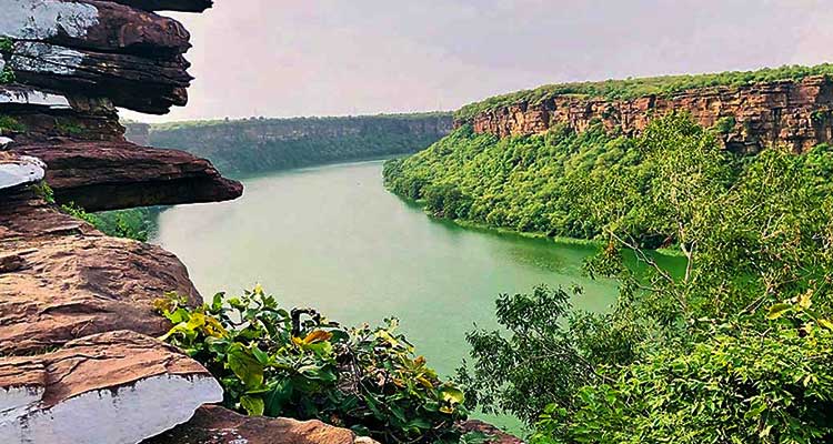 Best Things to do in Kota, Best Places to Visit in Kota – India-Tours