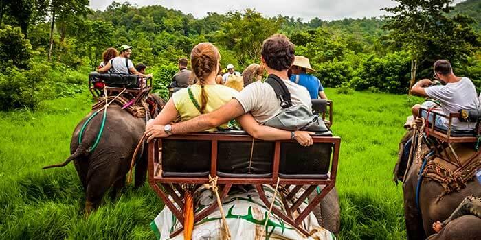 Indian Wildlife Tours Package 2020 - 2021, Wildlife with Game Drive ...