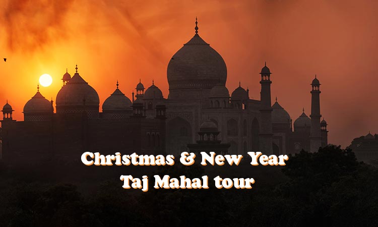 Taj Mahal Tour on Christmas New Year, Incredible India Tour